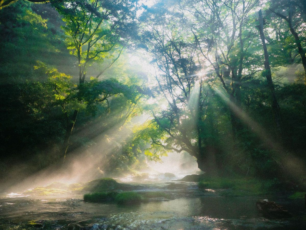 菊池渓谷 | GANREF