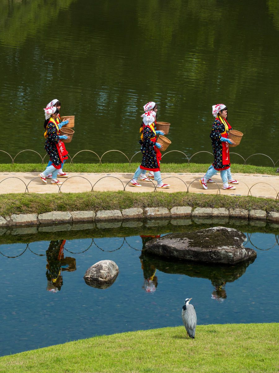 茶摘み娘とサギ | GANREF