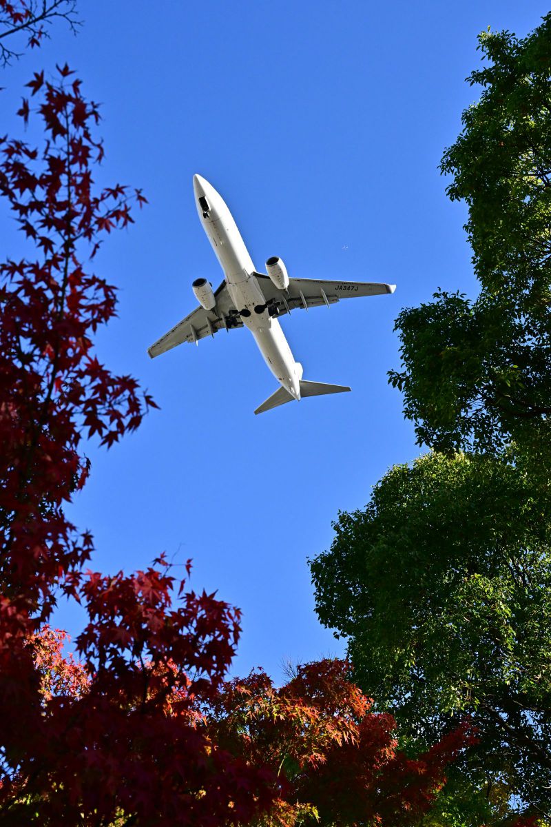 頭上を超えて-ほんのりPeach付き | GANREF