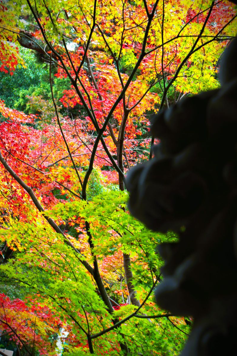 コワい門番さん2022 | GANREF