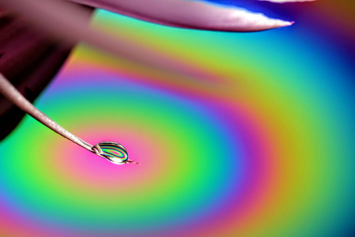 Rainbow Circle 2023 | GANREF