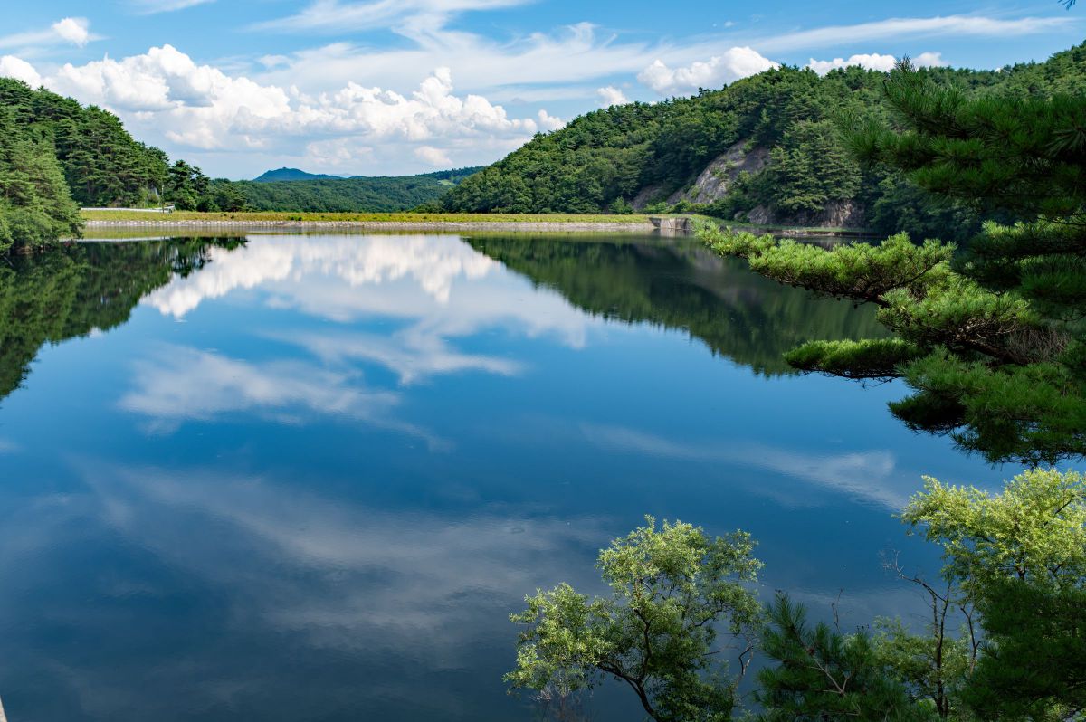 35㎜って広いな！ | GANREF