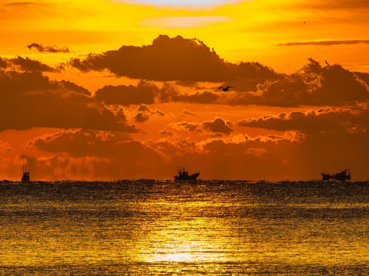 Golden Hour | GANREF