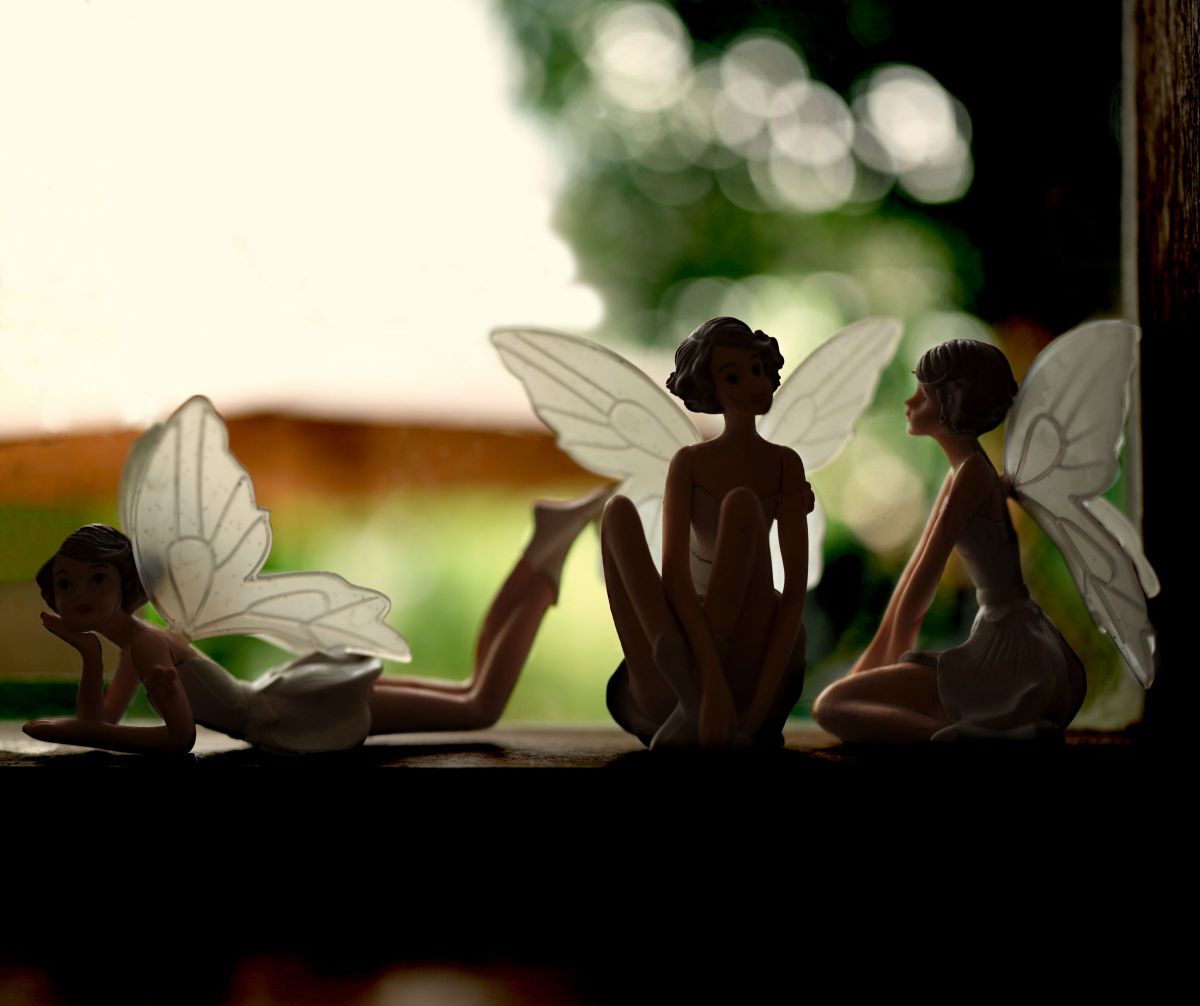 Fairies' Afternoon | GANREF