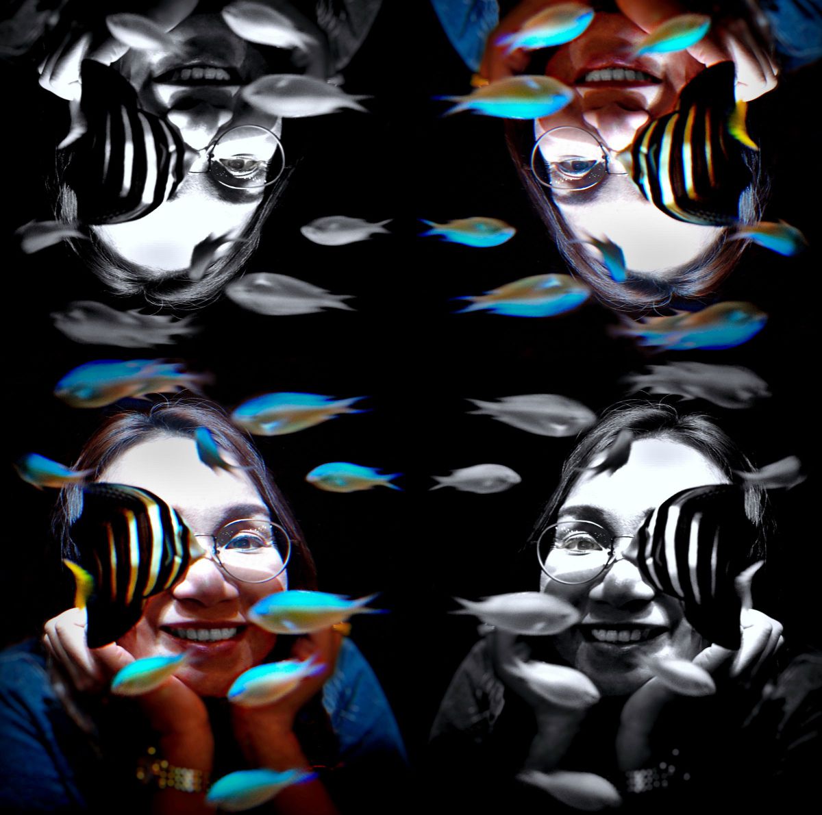 Dance of Tropical Fish | GANREF