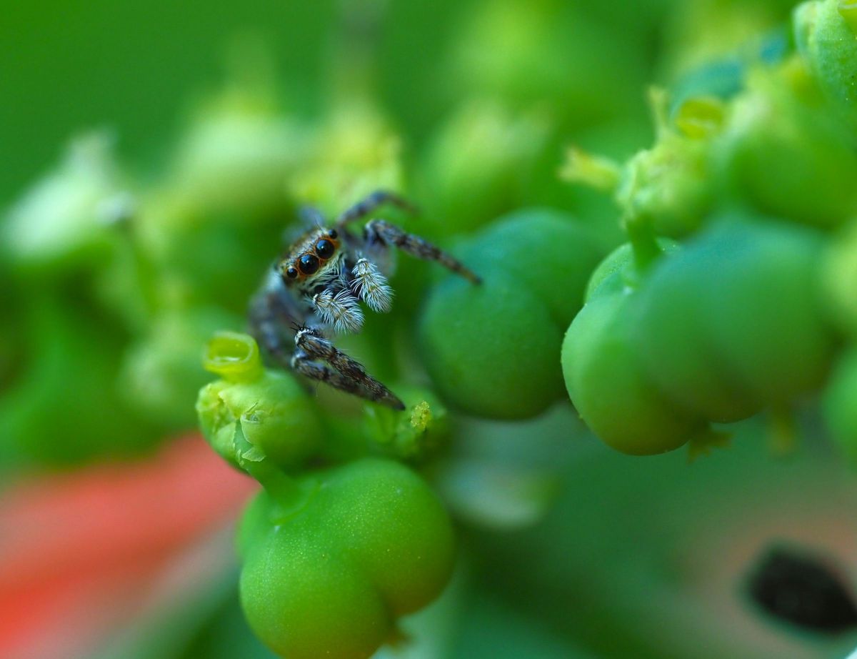 See you again | GANREF