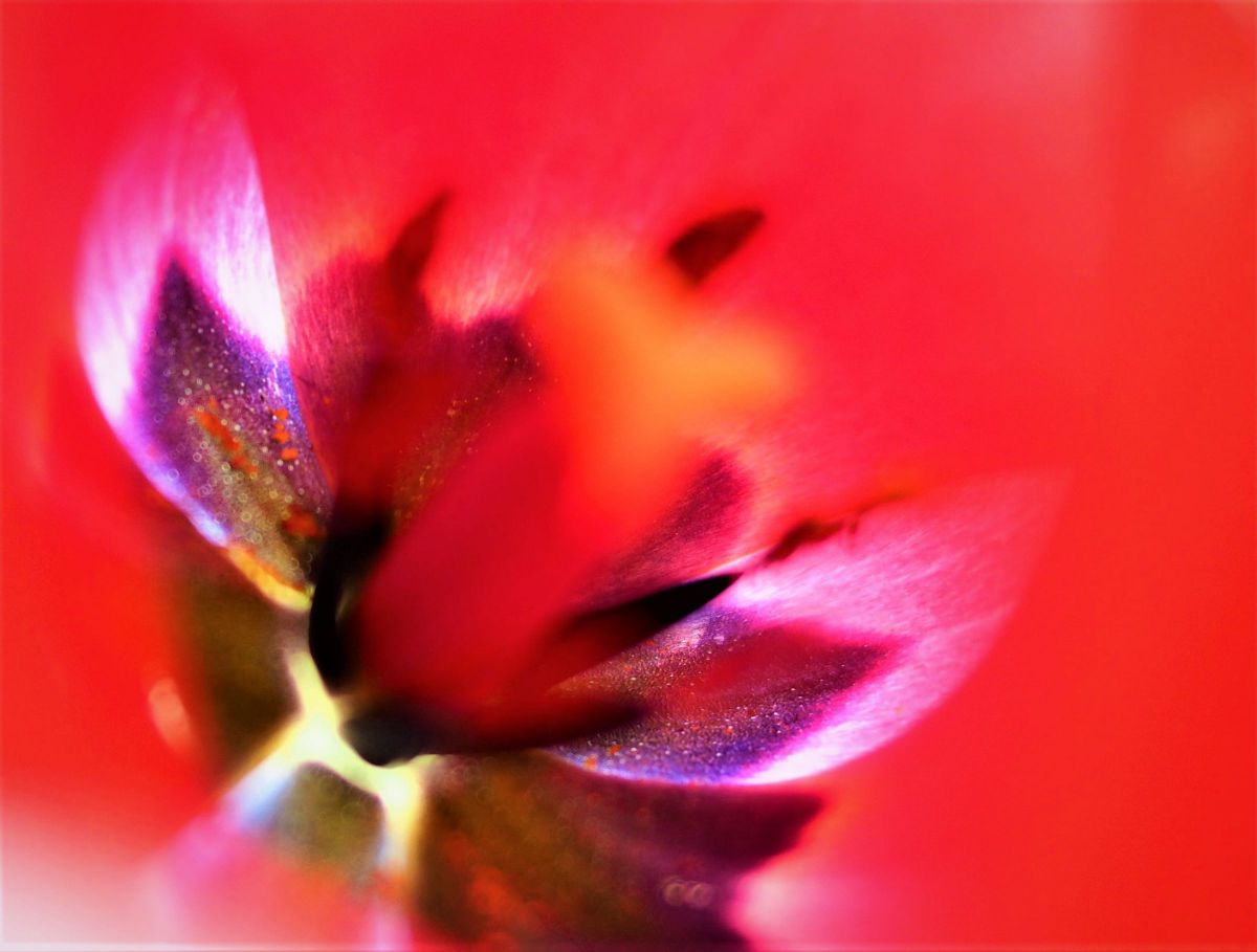 火力はMAX | GANREF