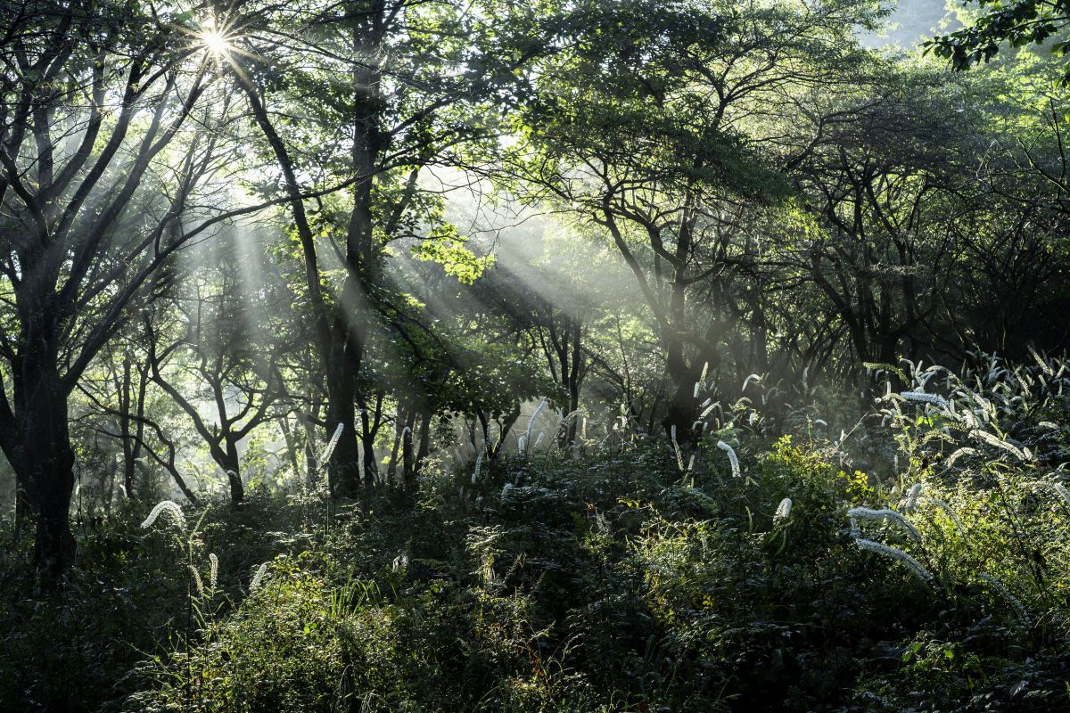 20240914-DSC03546.jpg | GANREF