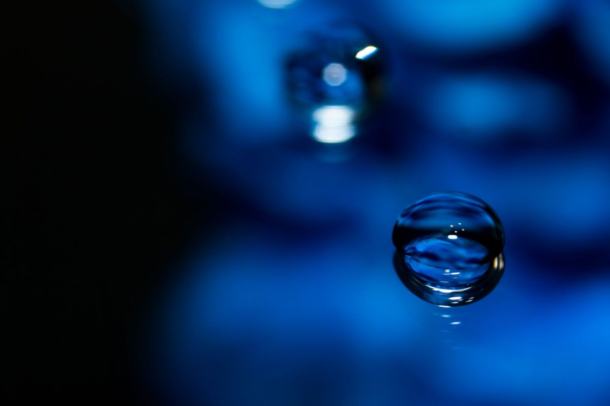 Blue Impact | GANREF