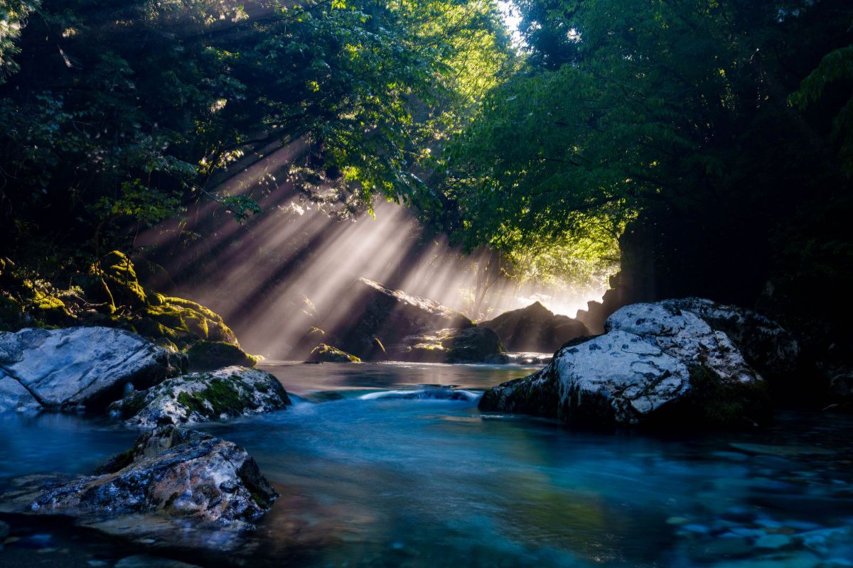 『奇跡の清流 円原川』案内図 | GANREF