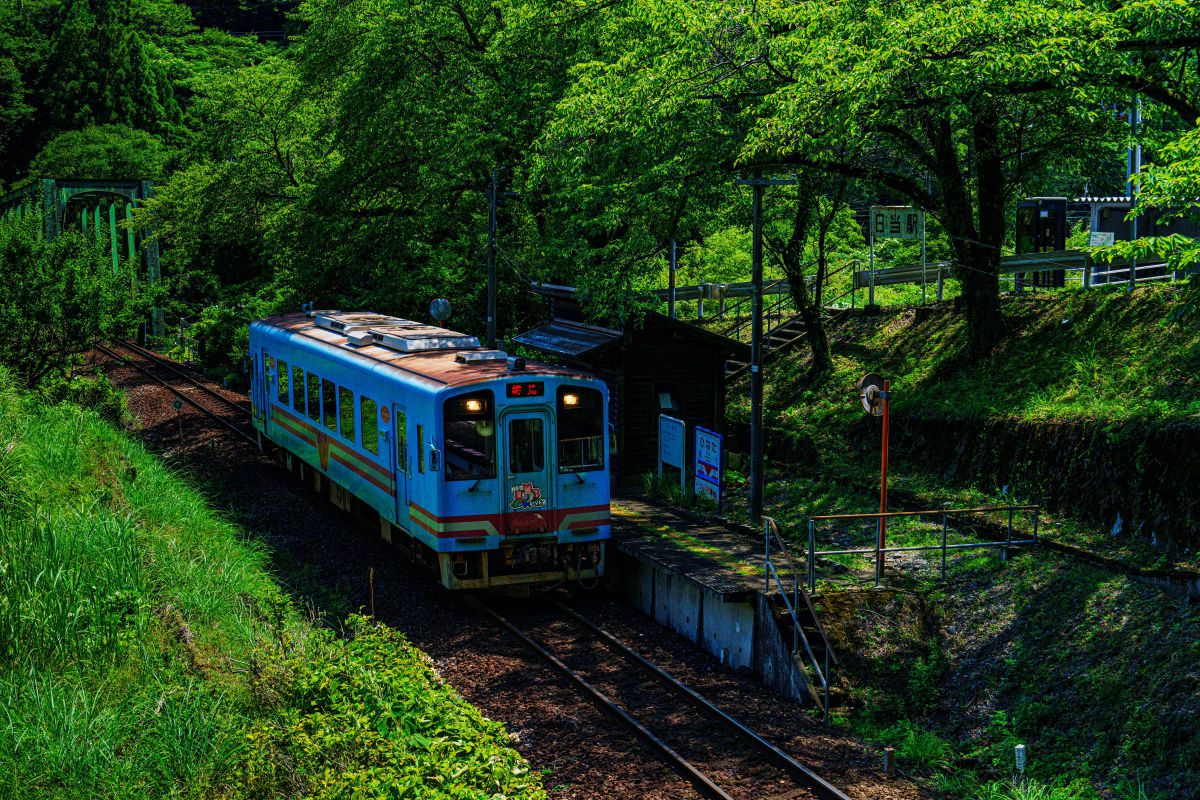 『秘境 日当駅』－樽見鉄道－ | GANREF