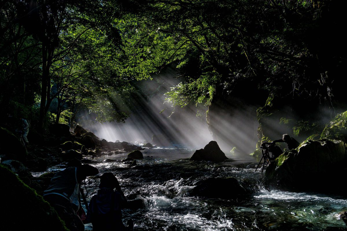 『奇跡の清流』－光芒と川霧の聖地 円原川－ | GANREF