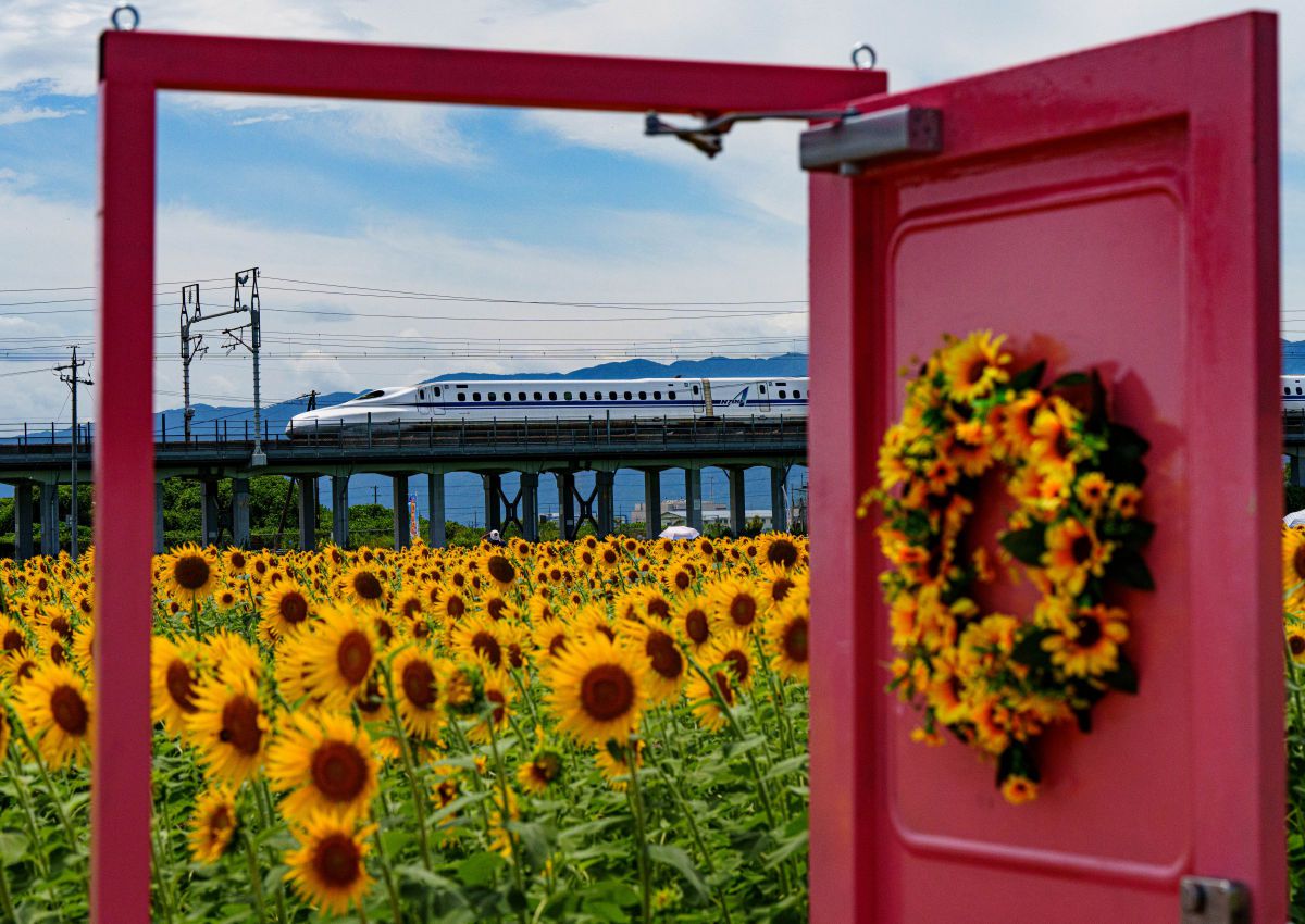 “どこでも”行けるのかな？ | GANREF