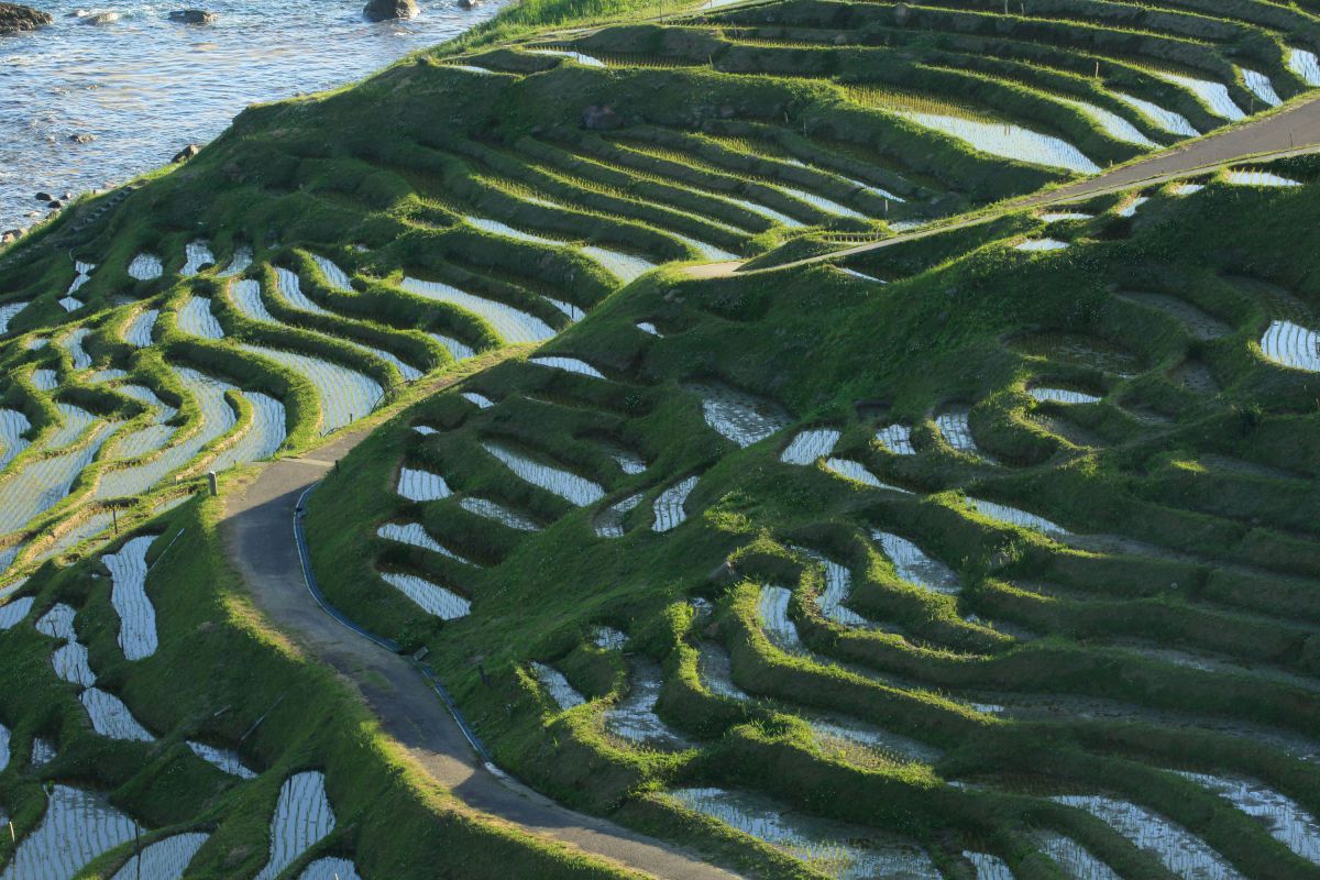 汐風の棚田・石川県白米千枚田-6 | GANREF