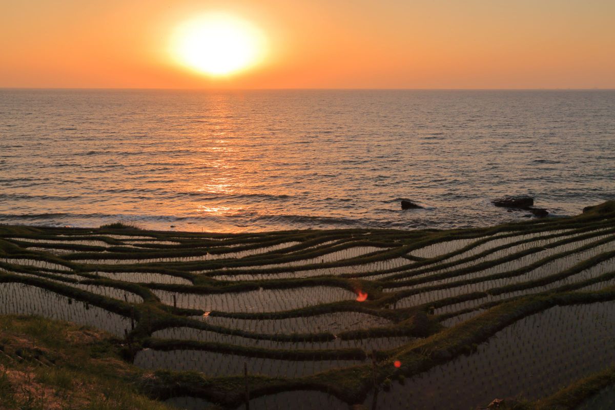 汐風の棚田・石川県白米千枚田-4 | GANREF