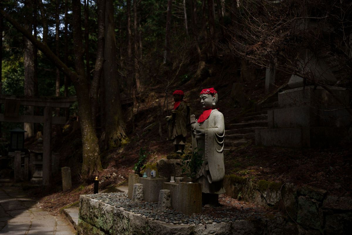 神々しいき光 | GANREF