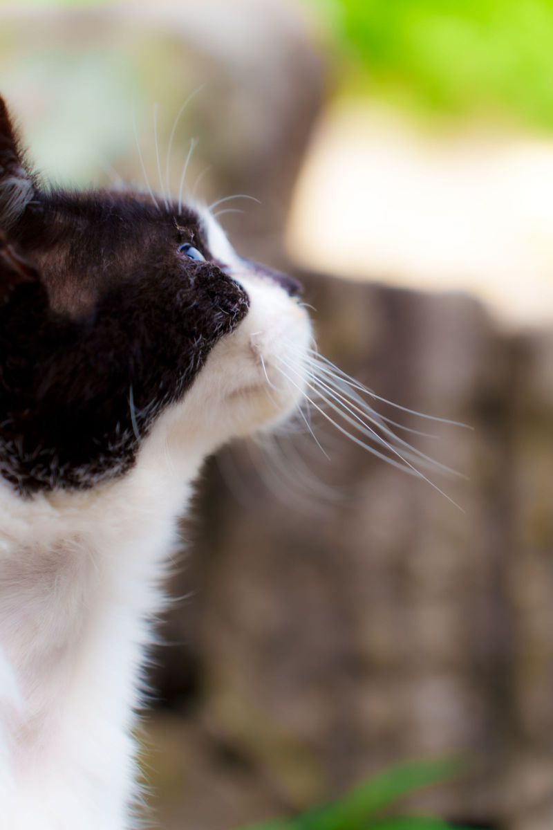 君はなにを見てる？ | GANREF