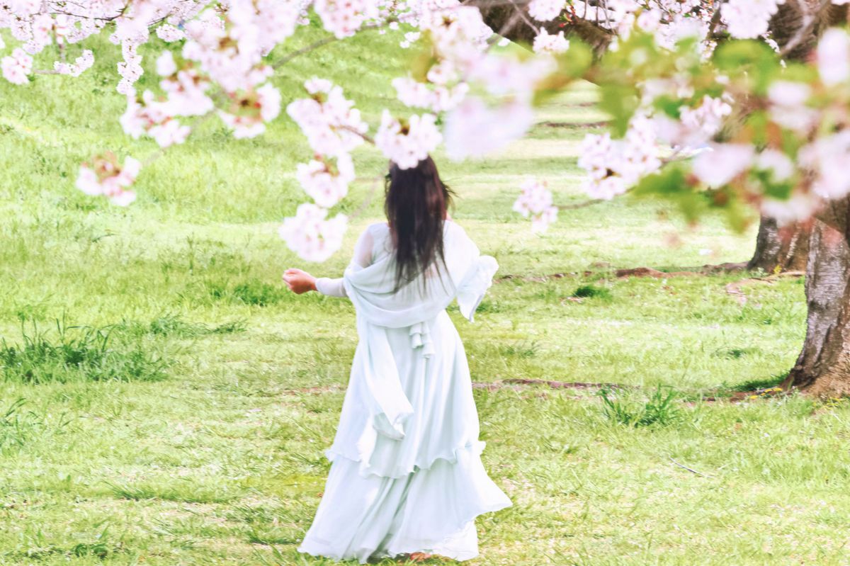 桜を楽しむ-04 | GANREF