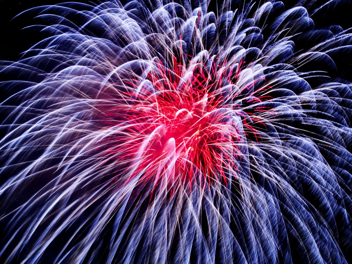 はなび-03 | GANREF