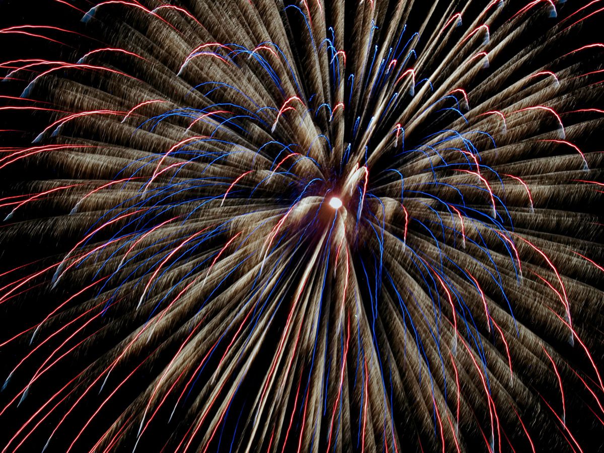 ハナビ-02 | GANREF