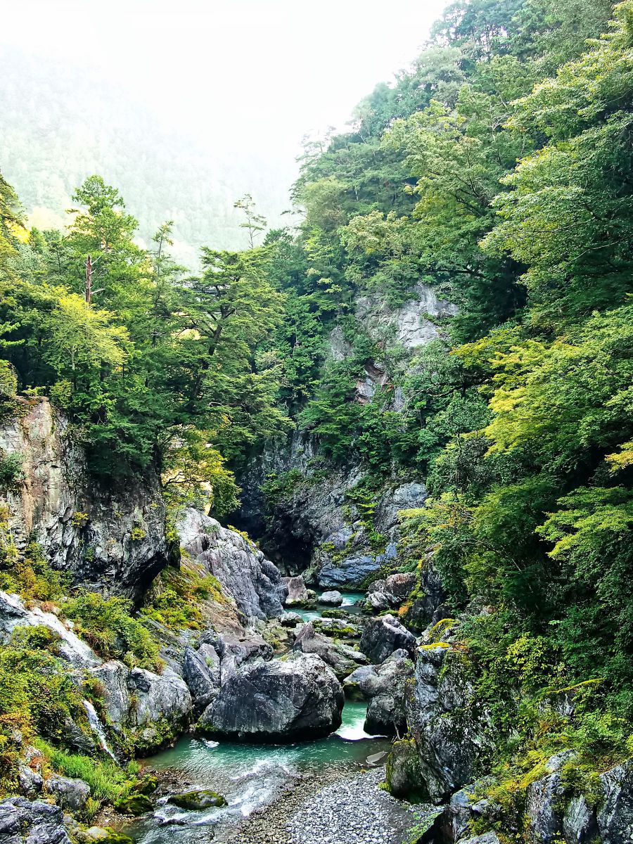 多摩川の上流-12 | GANREF