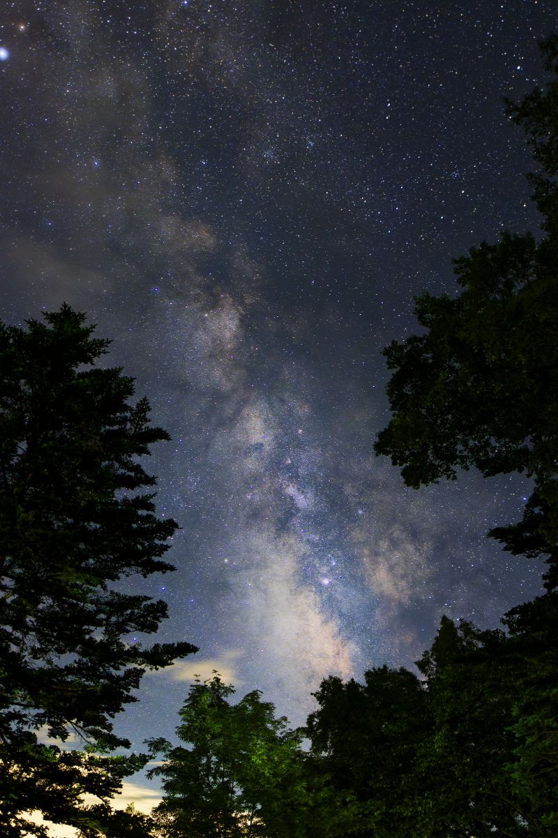 木々の間から覗いた天の川 | GANREF