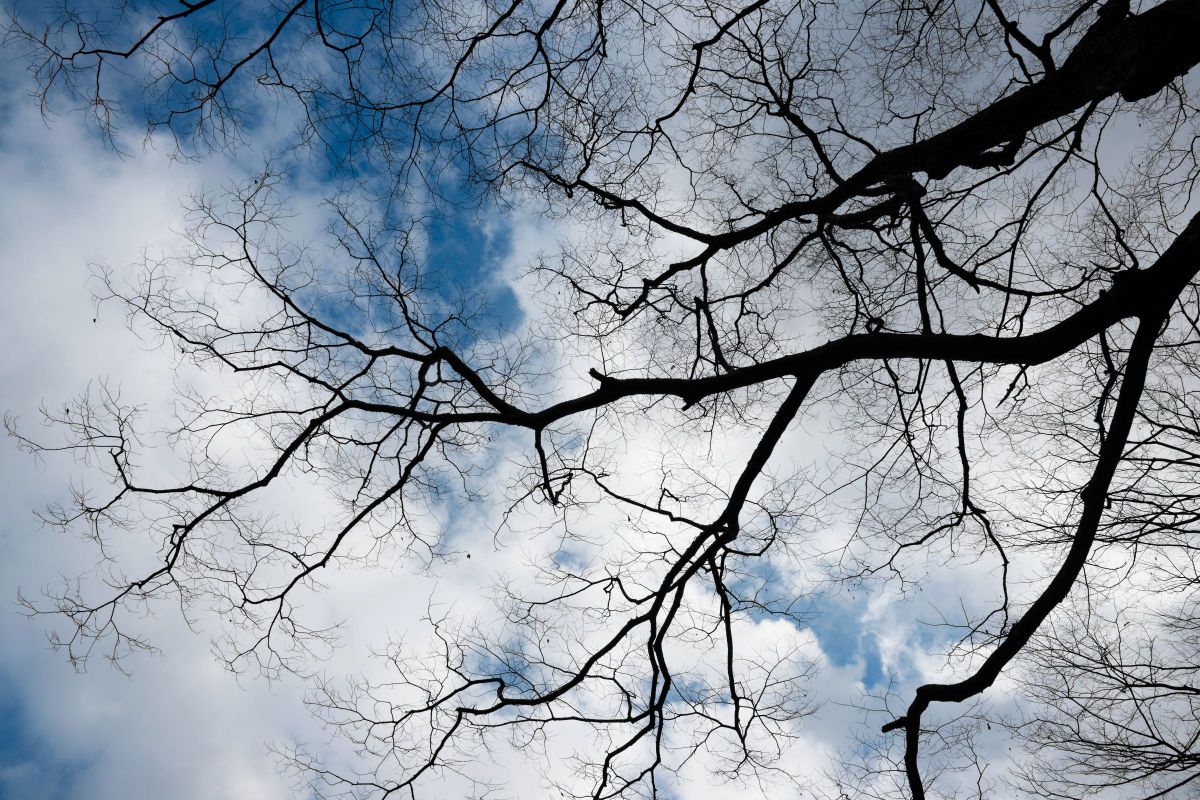 無限の岐路 | GANREF