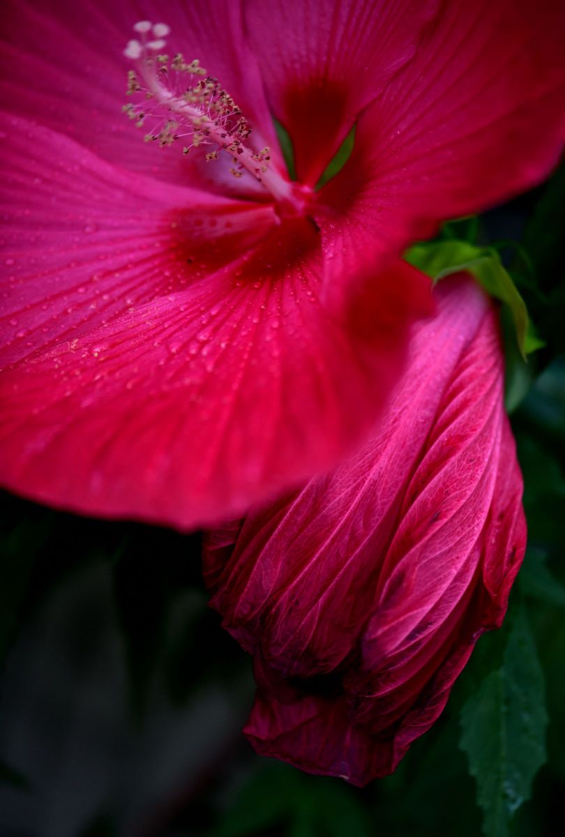 時の移ろい | GANREF