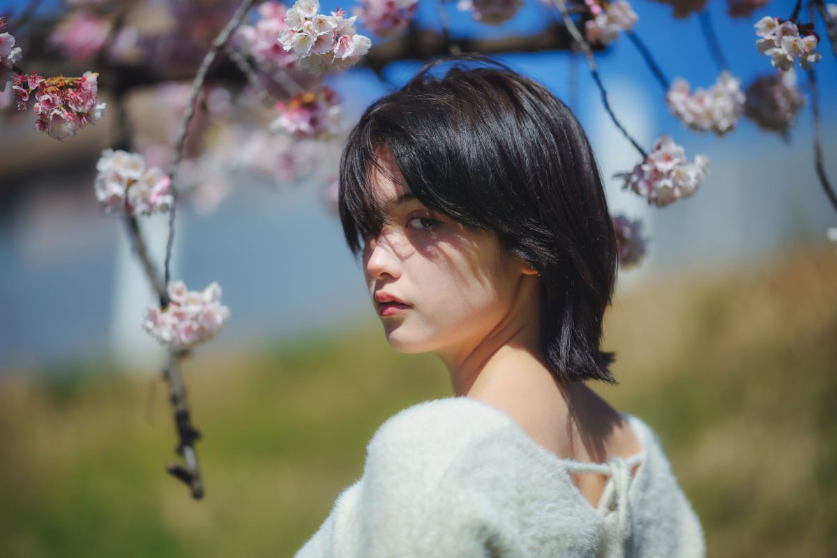 桜ポートレート2024 | GANREF