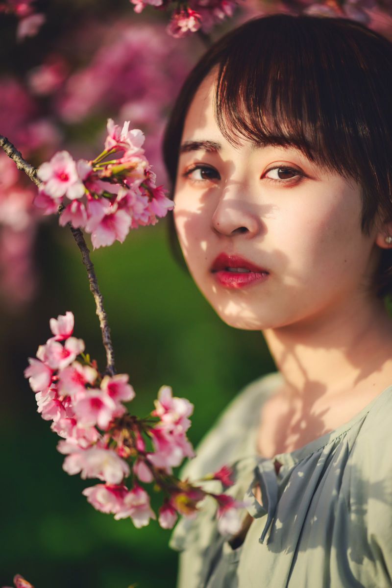 寒桜 | GANREF
