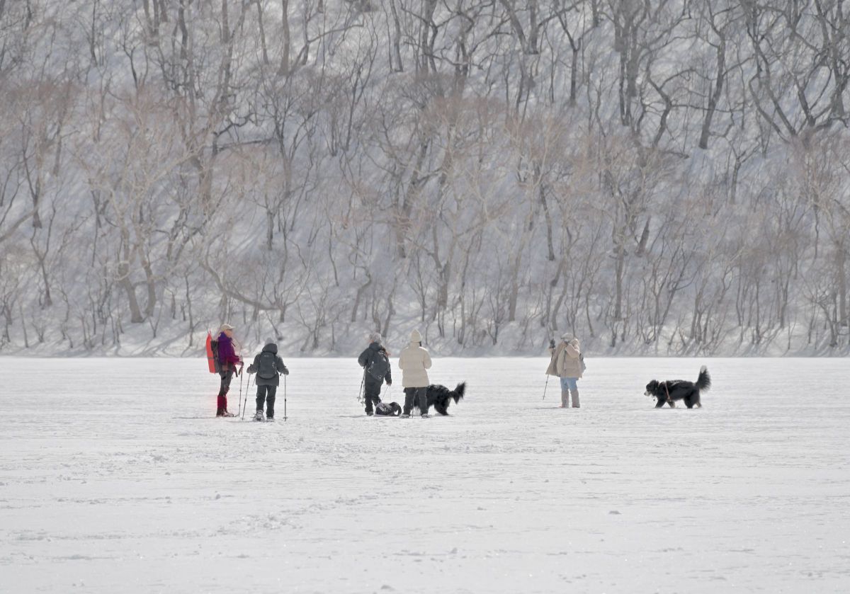 winter friends | GANREF