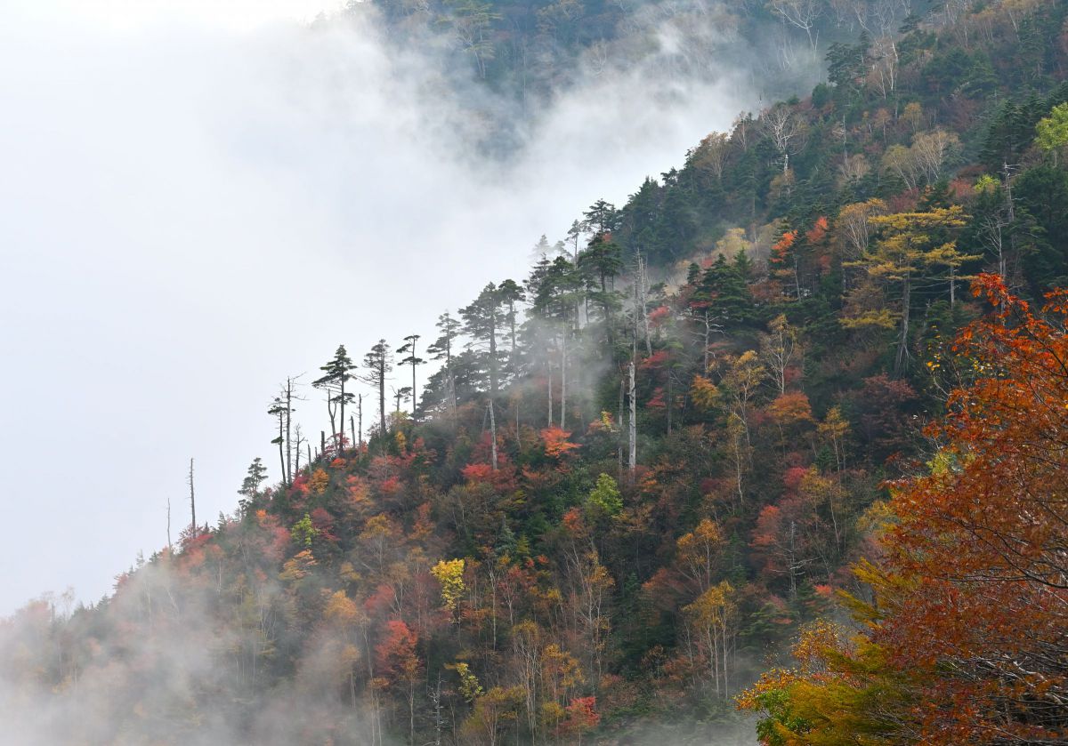 Stop the clouds | GANREF