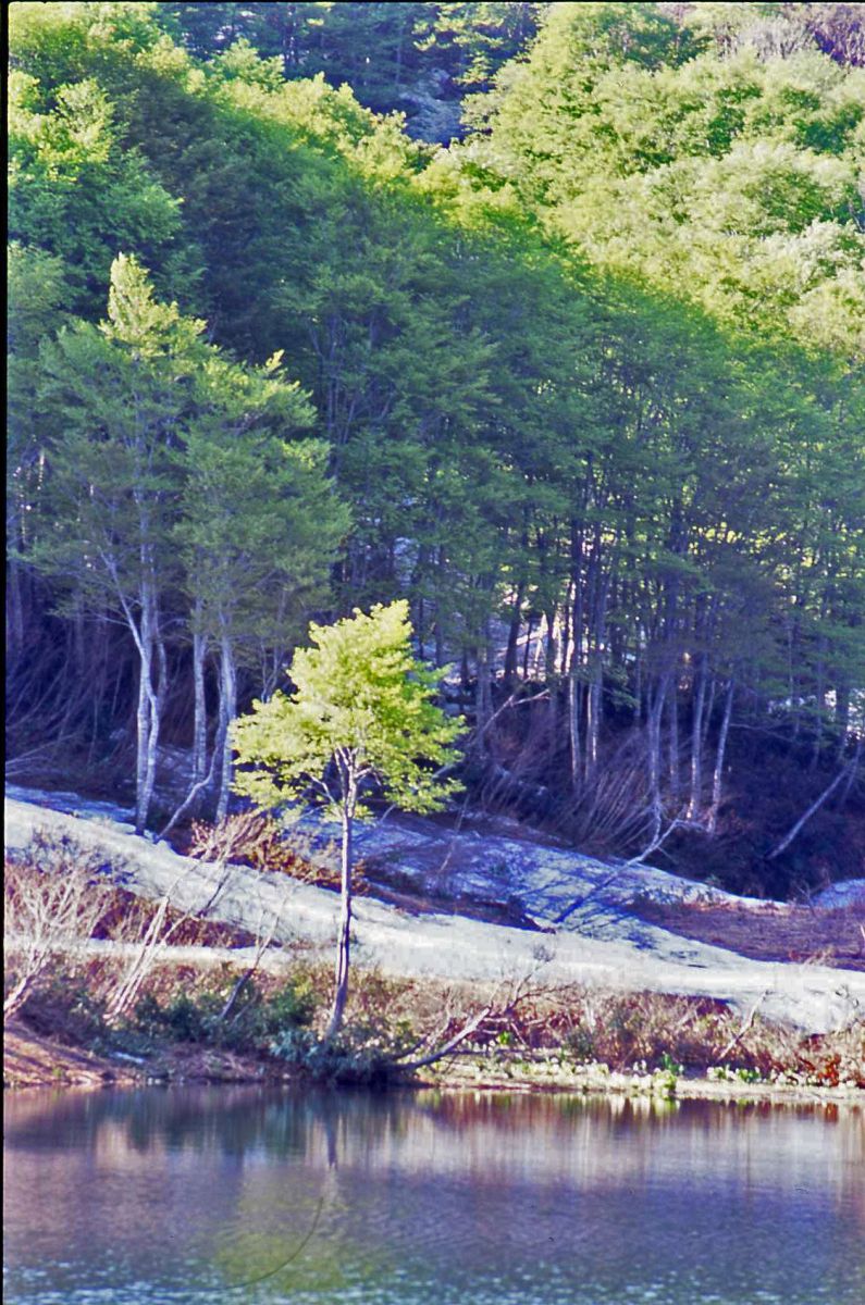 残雪風景 | GANREF