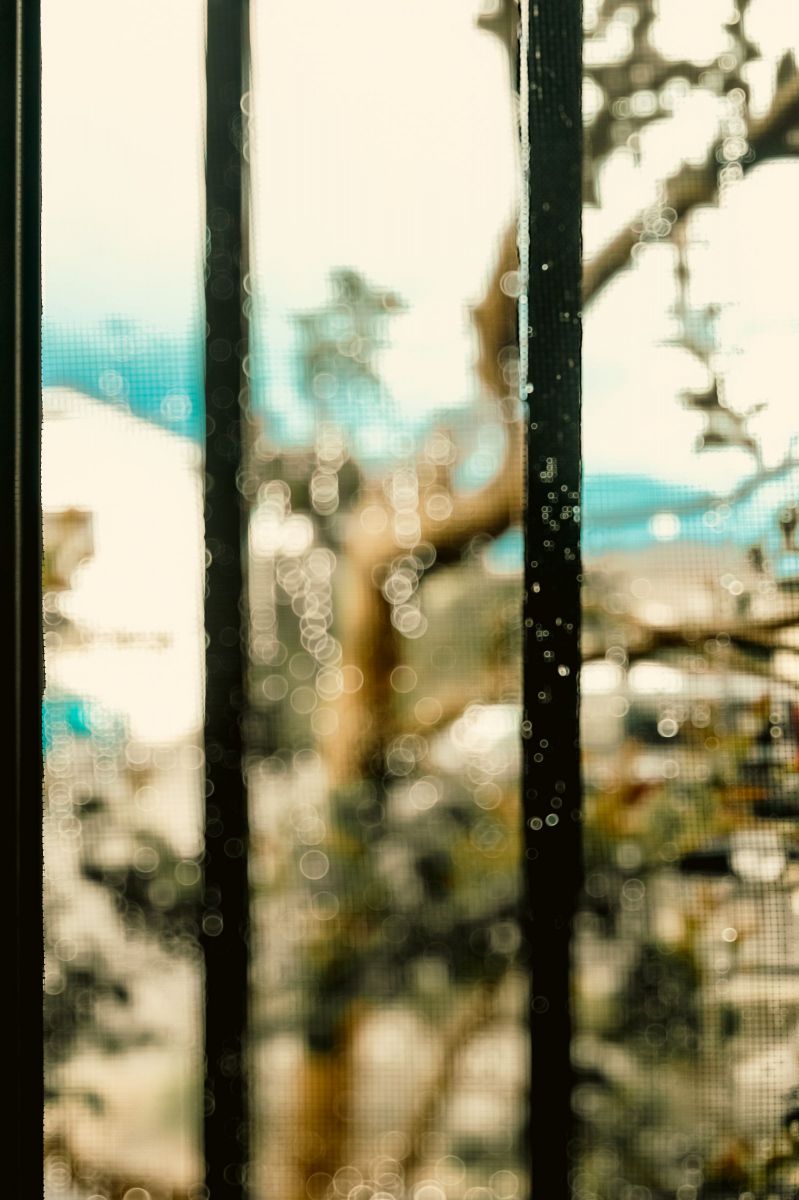 雨上がり | GANREF