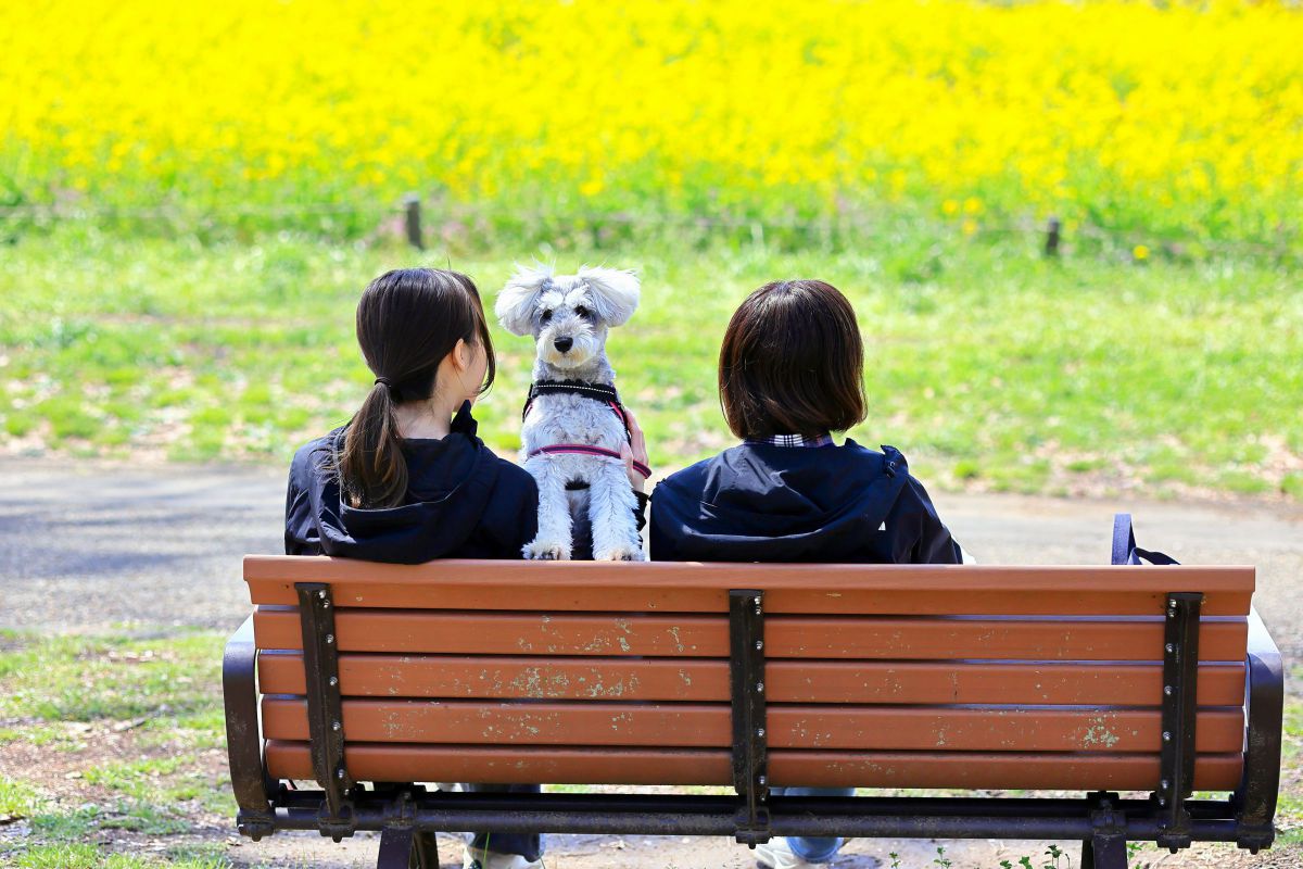 every one in my family | GANREF