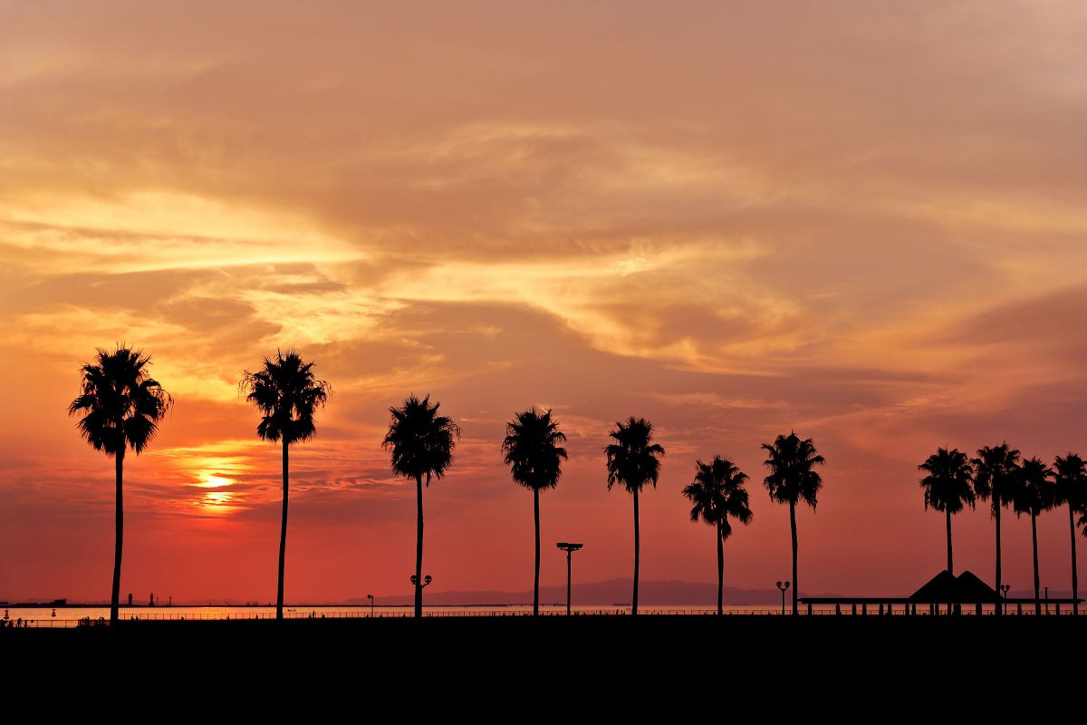 sunset scene | GANREF