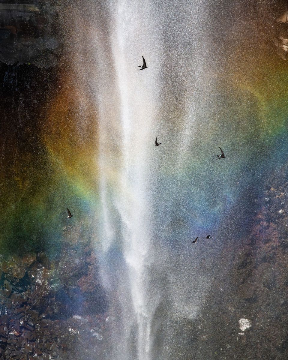 Rainbow Curtain | GANREF