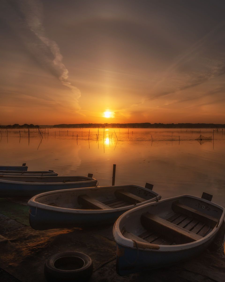 Beautiful Morning | GANREF