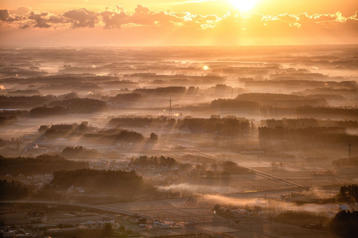 Shining Morning | GANREF