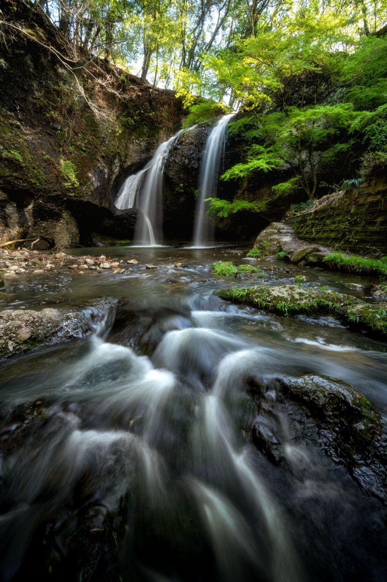 Spring flow | GANREF