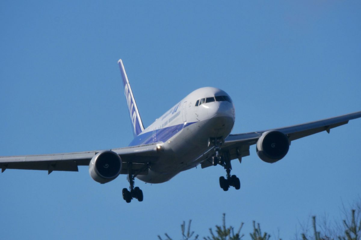 reflexその1.JPG | GANREF