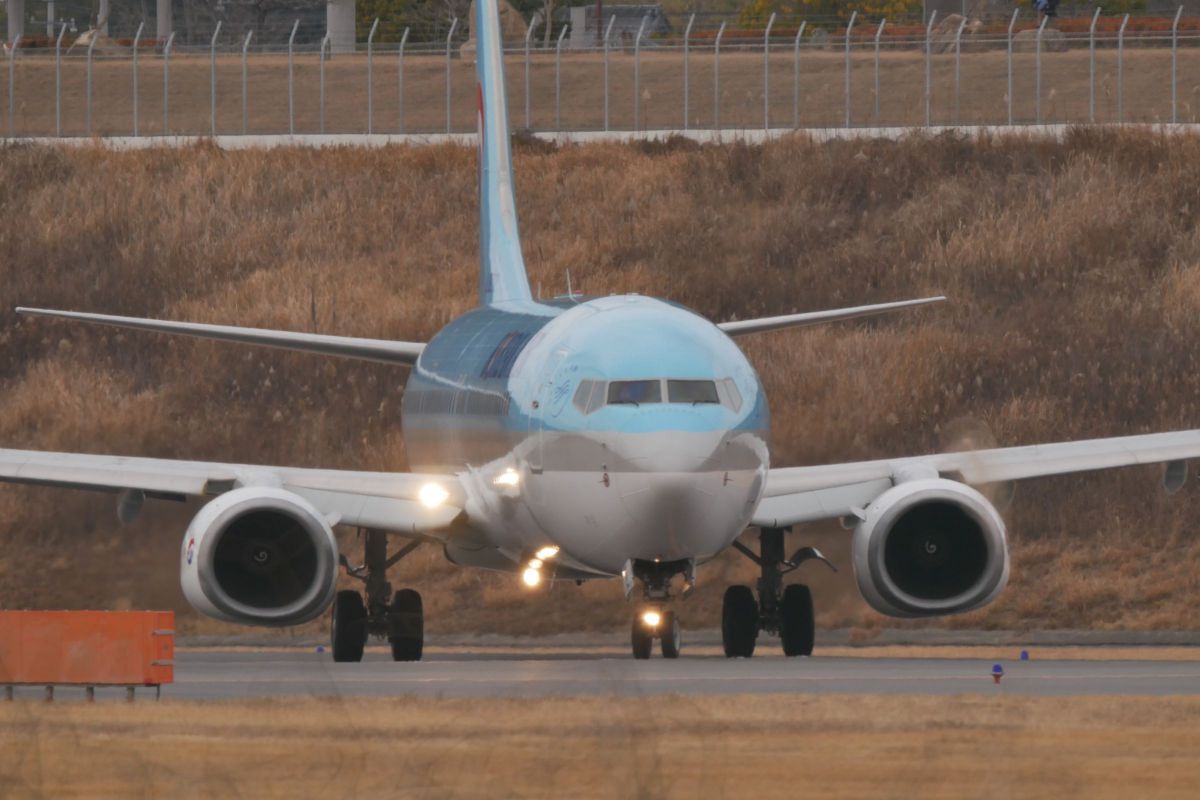 reflexその2.JPG | GANREF