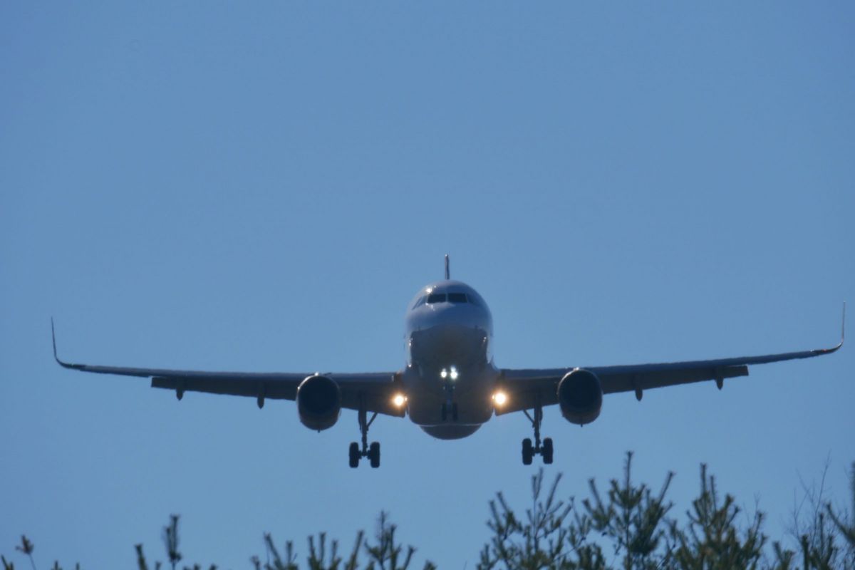 reflex その6.JPG | GANREF