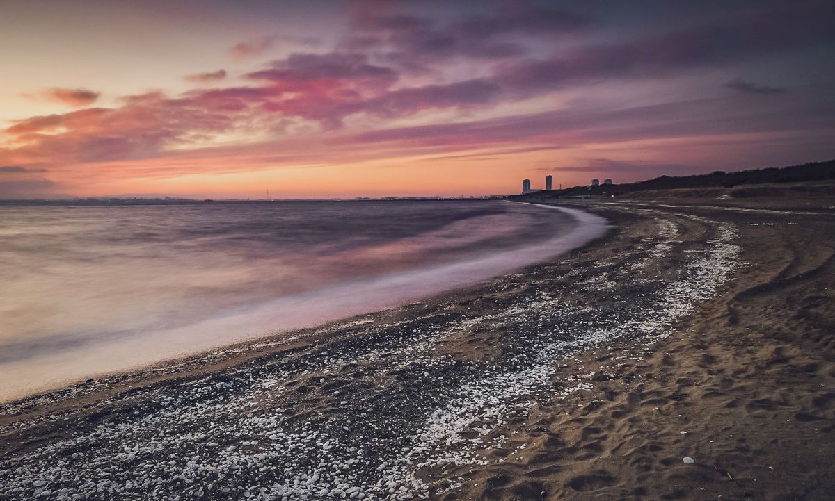 way of shell | GANREF