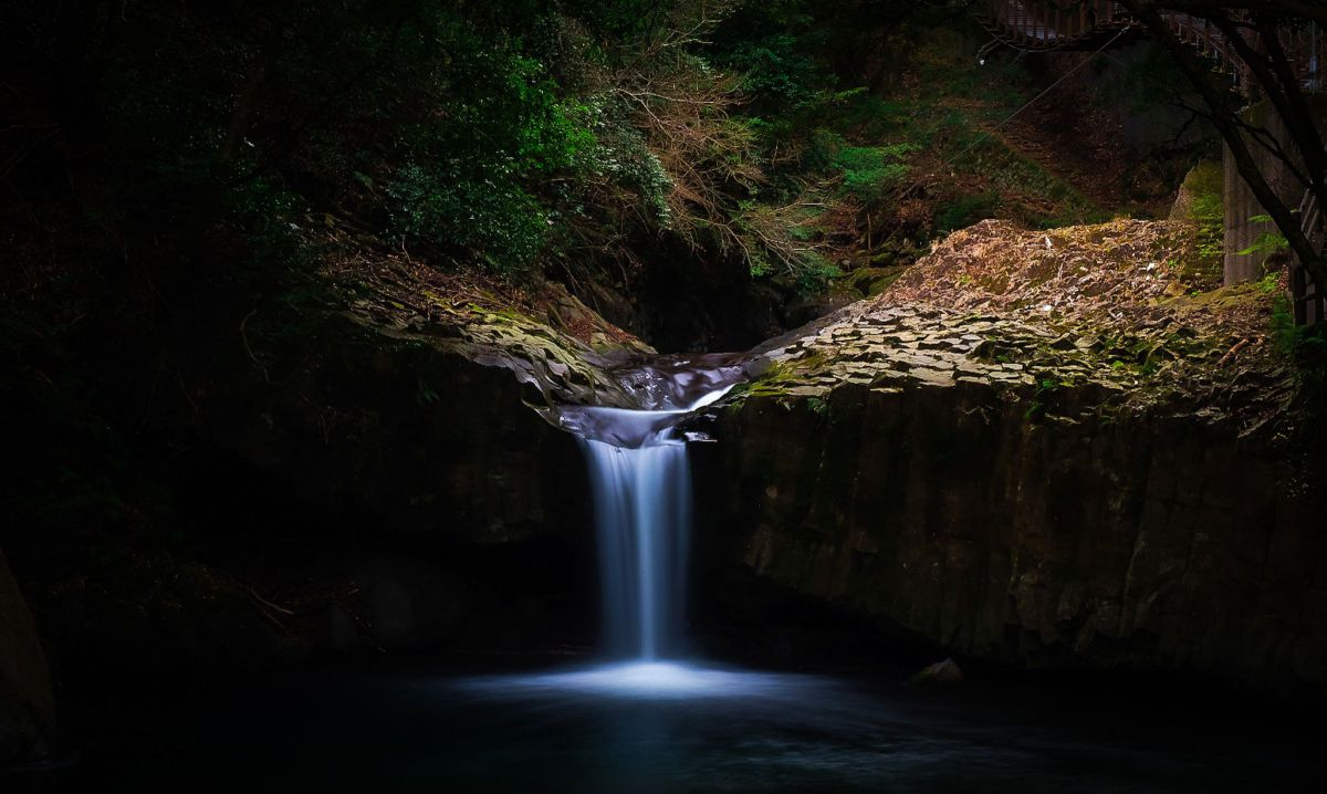 Quiet right | GANREF