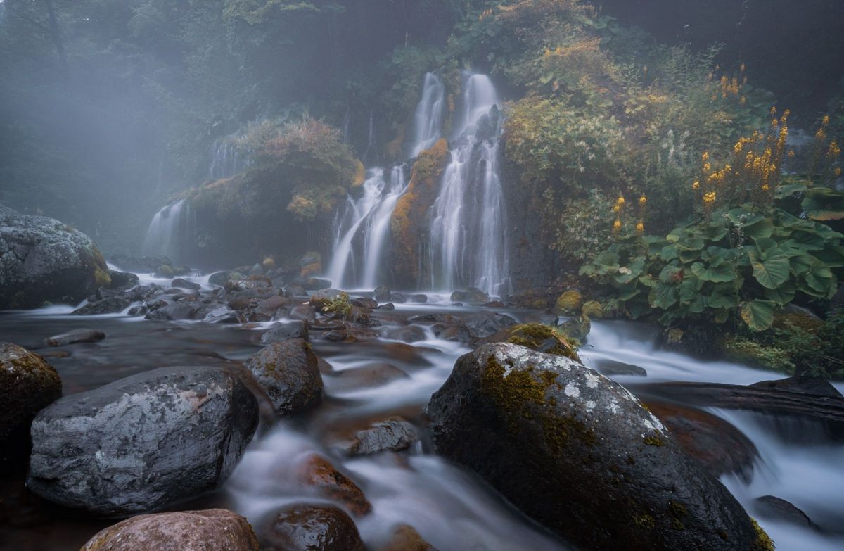 〜Misty flow〜 ☔いつも雨☔ | GANREF