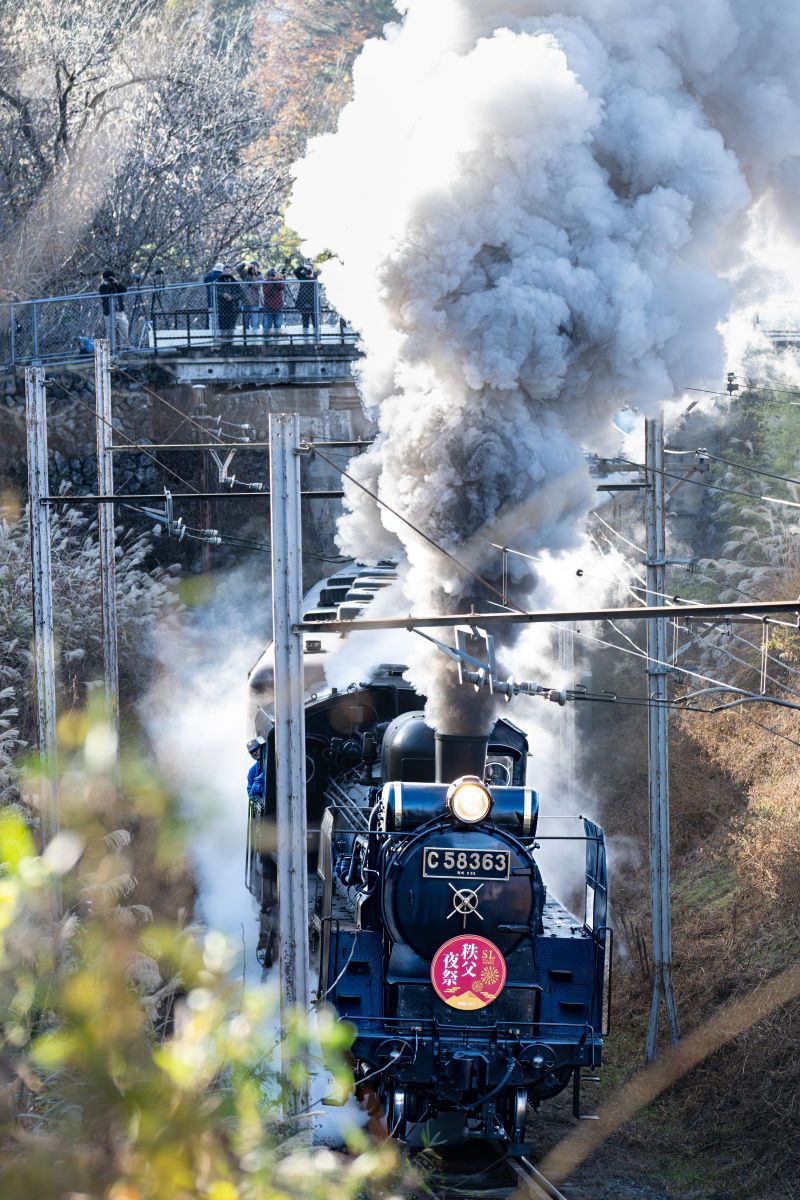 秩父鉄道：35th SL PALEO EXPRESS | GANREF