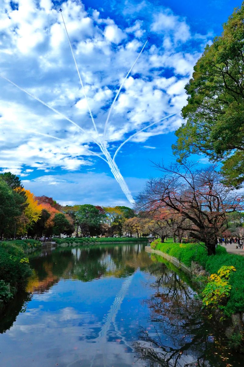 big tree.jpg | GANREF