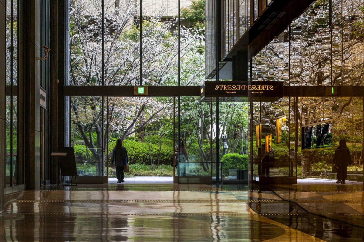 桜Reflection | GANREF