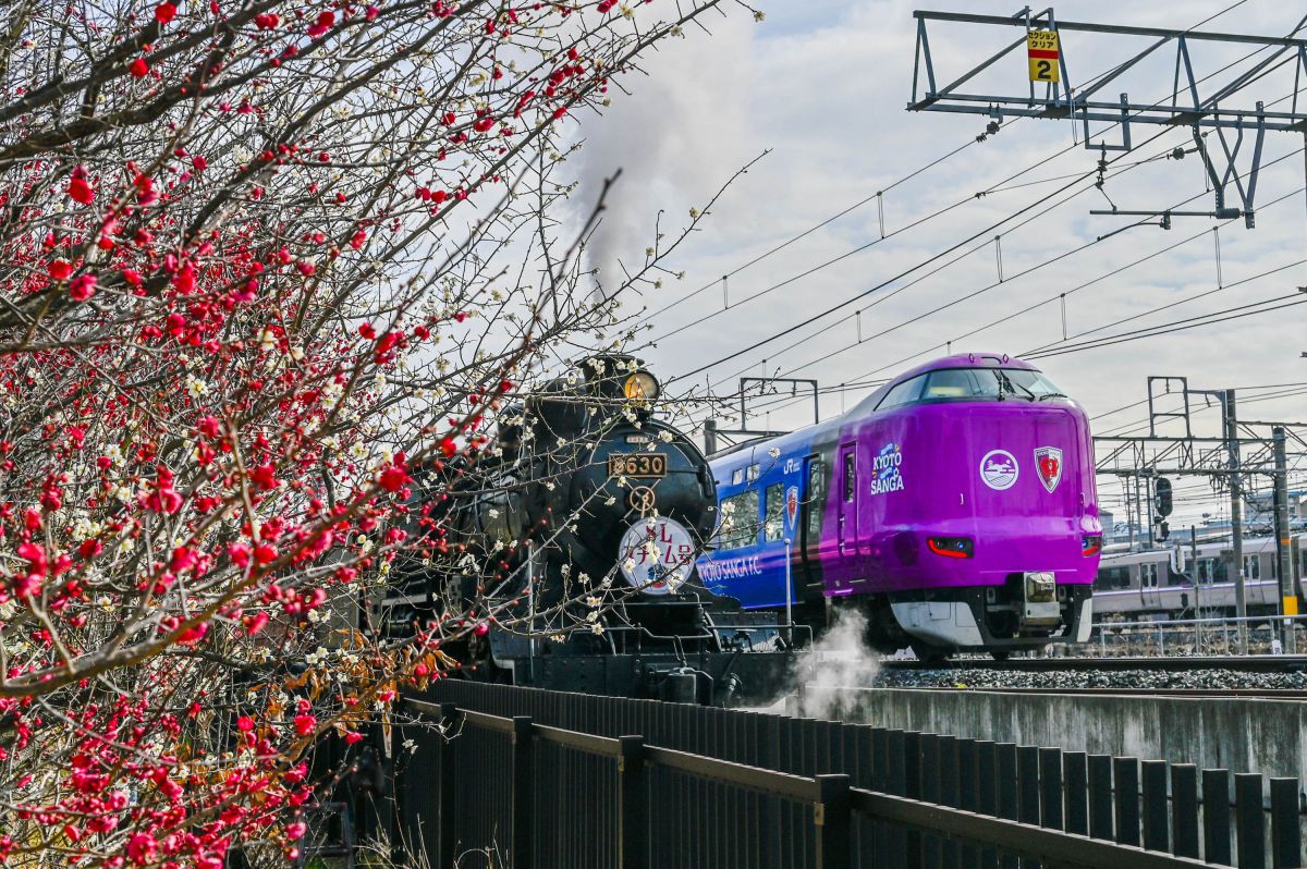 KYOTO SANGA TRAIN | GANREF